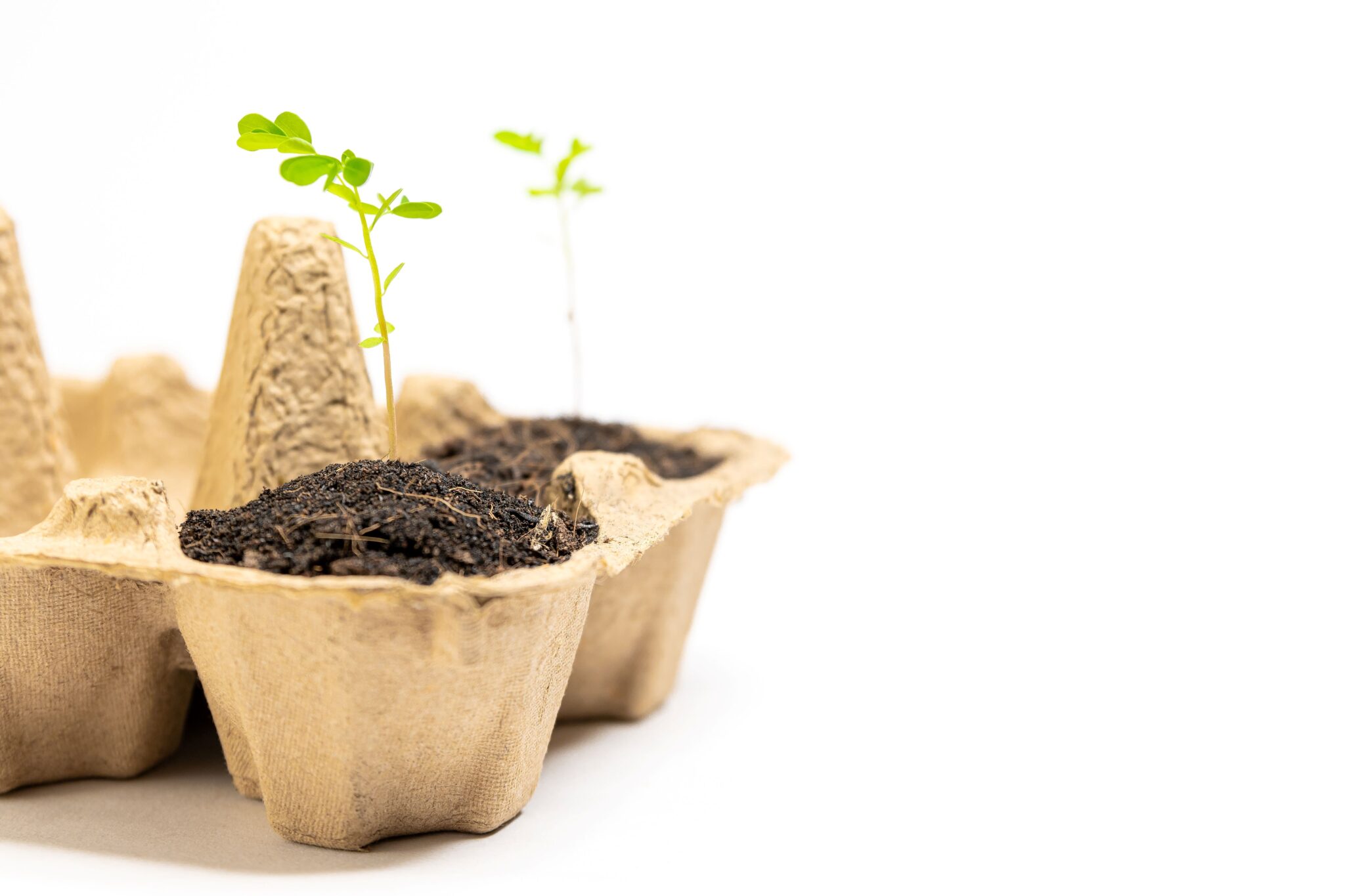 COTA Insurance | Insurance for a cause