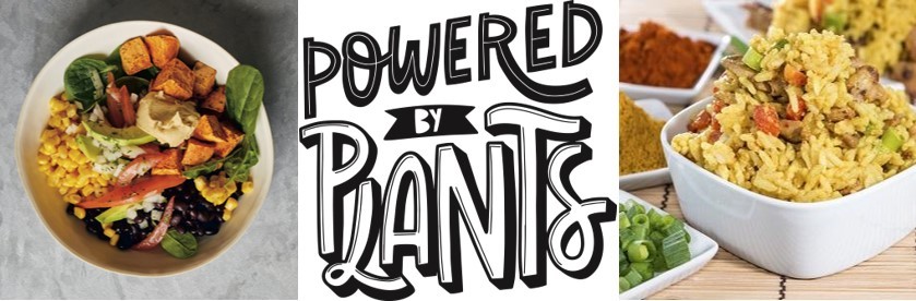 Powered by Plants | COTA Insurance