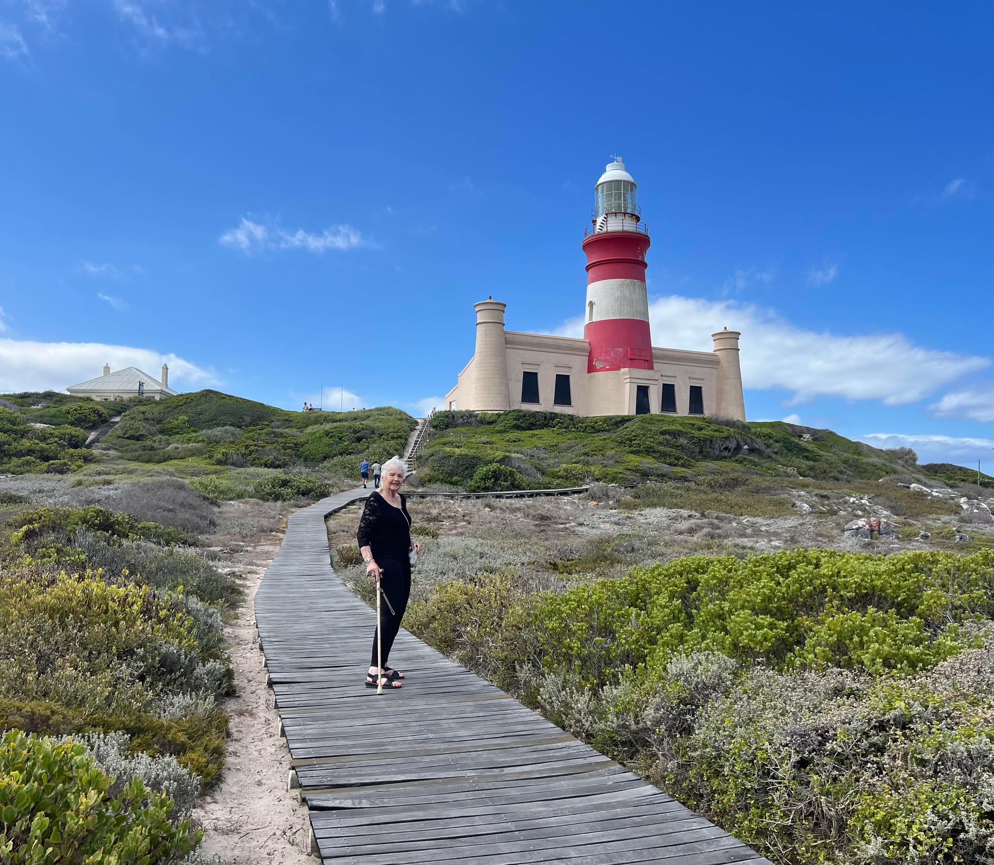 Elva's Latest Adventure - Part III | COTA Insurance